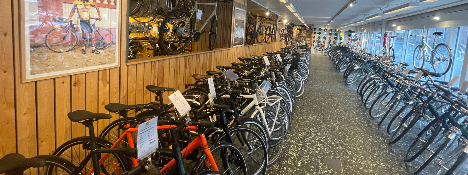 Products - Baisikeli